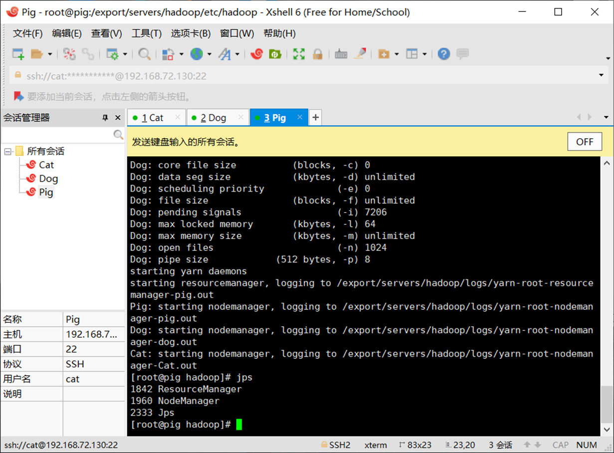 Hadoop集群安装及其配置（三台虚拟机）_hadoop集群搭建完成好jps后各个虚拟机出现什么-CSDN博客