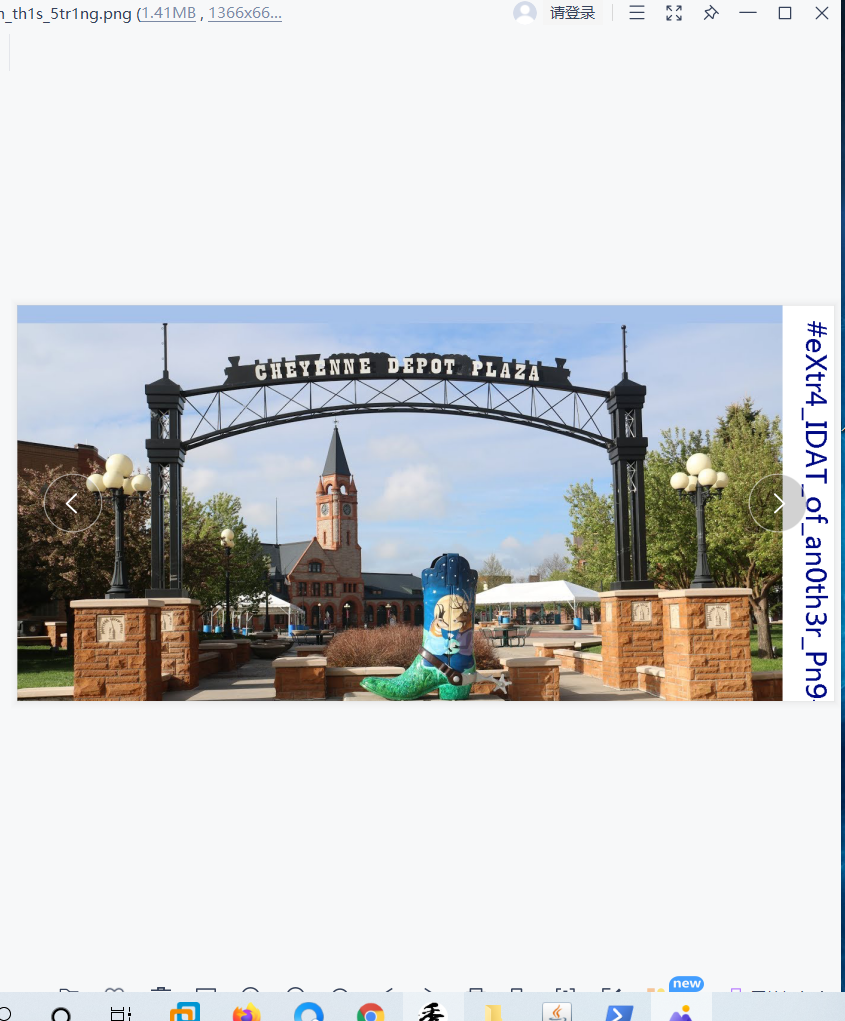 ctfshow 8神PNG隐写入门(土)赛 WP_ctfshow八神-CSDN博客