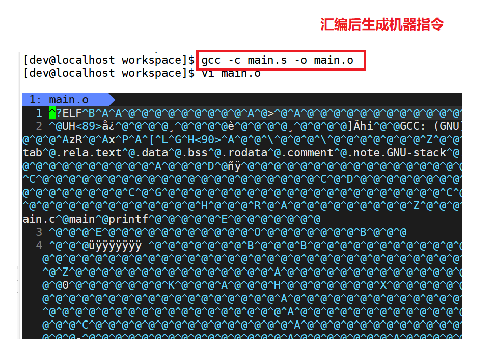 【linux】程序的编译与运行（4阶段实例图解）程序运行四个阶段 Csdn博客 