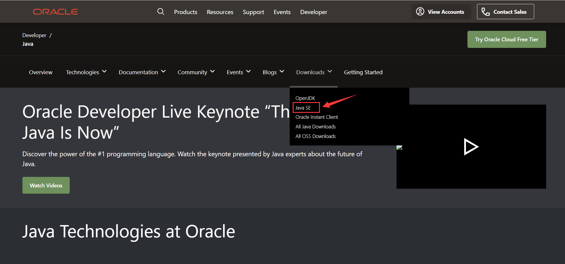 Java开发环境配置（jdk15）_jdk15.0.2-CSDN博客