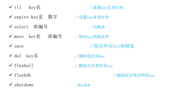 Redis 学习笔记 Error Err Wrong Number Of Arguments For Flushal Csdn博客