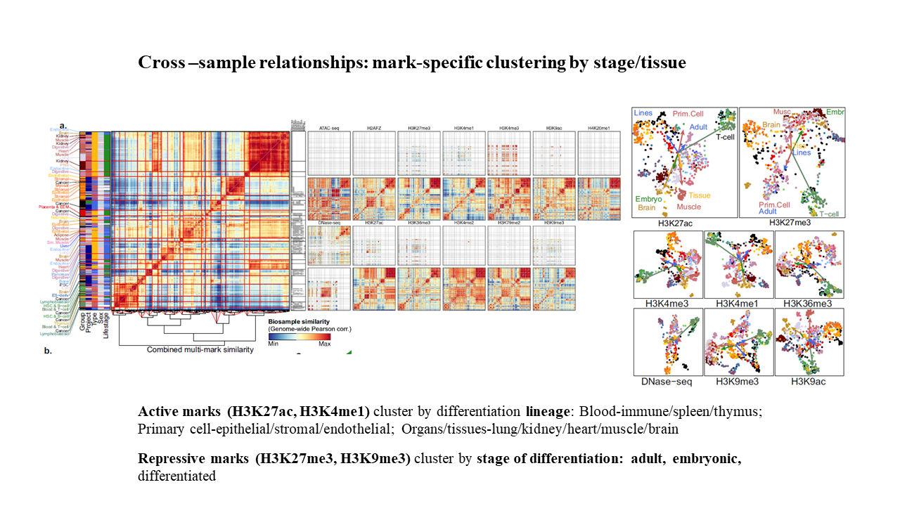 【Nature | EpiMap】Regulatory genomic circuitry of human disease loci by ...