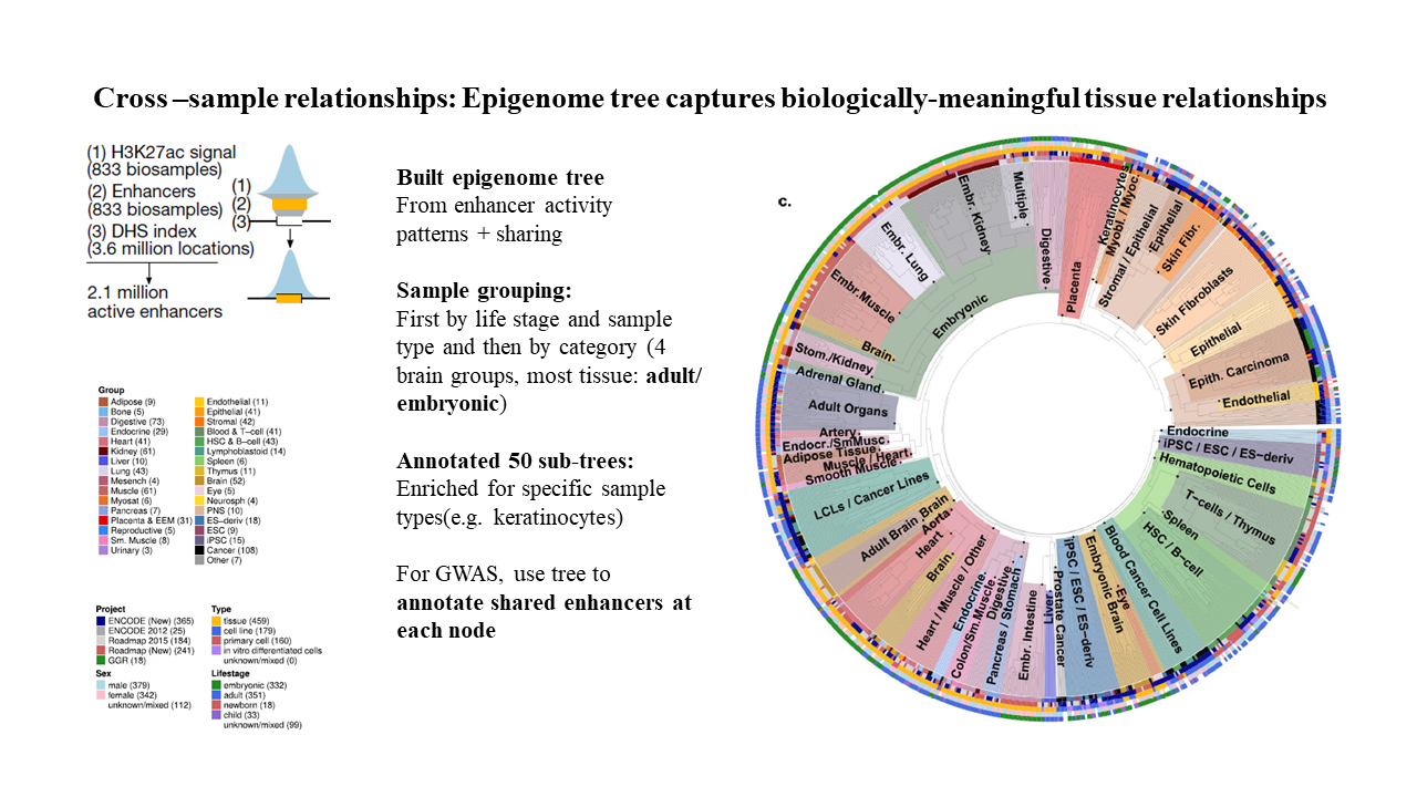 【Nature | EpiMap】Regulatory genomic circuitry of human disease loci by ...