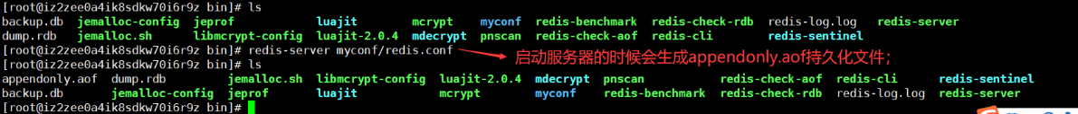 Redis持久化中的AOF(Append Only File)持久化_appendonly-CSDN博客