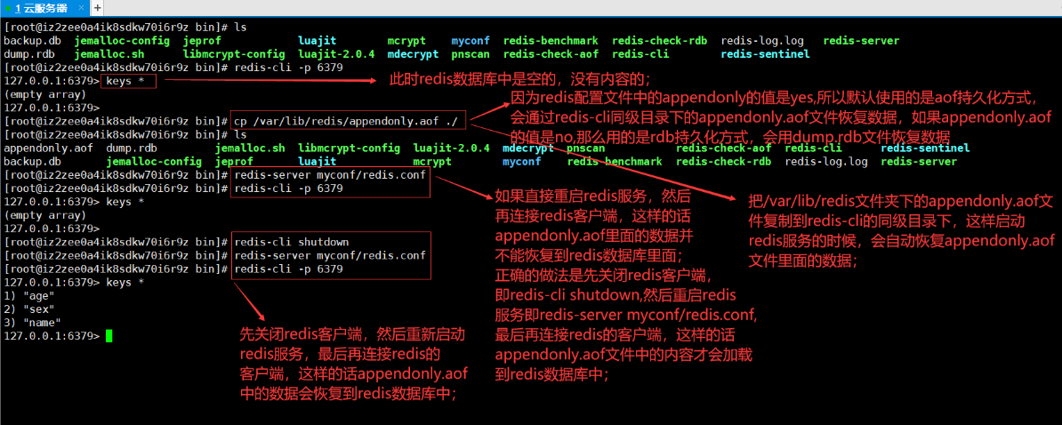 Redis持久化中的AOF(Append Only File)持久化_appendonly-CSDN博客