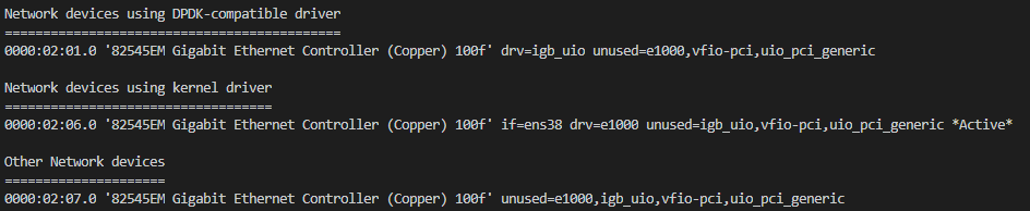 虚拟机网卡配置与DPDK绑定网卡_cannot bind to driver vfio-pci_一旦9912的博客-CSDN博客