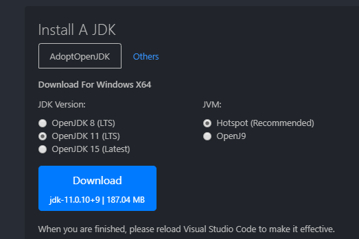 VScode搭建java编译环境（jdk11 vscode版本1.48.0）_用vs写jdk-CSDN博客
