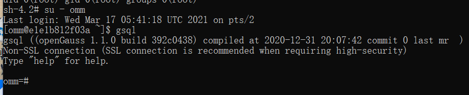 Opengauss启动和初次使用教程(docker Opengauss)进入opengauss Csdn博客