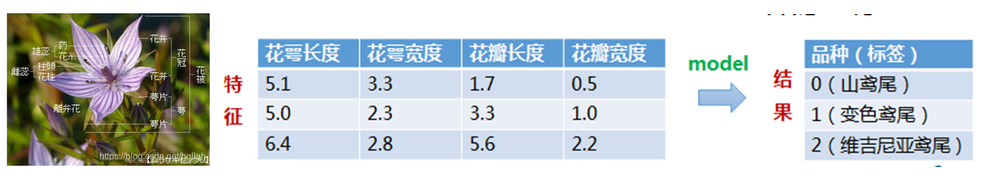 鸢尾花数据集分类 Knn算法knn算法在鸢尾花分类任务四项指标 Csdn博客 