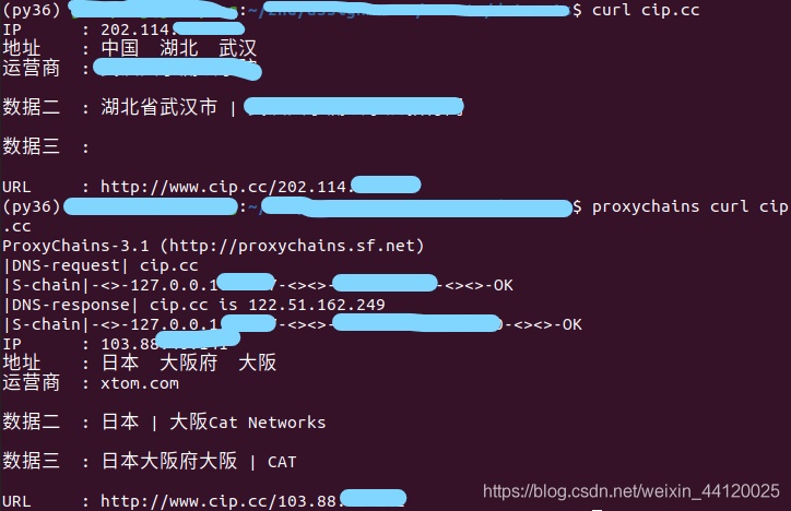 ubuntu使用proxychains给终端设置代理-CSDN博客