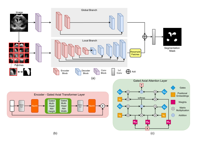 Medical Transformer: Gated Axial-Attention for Medical Image Segmentation-CSDN博客