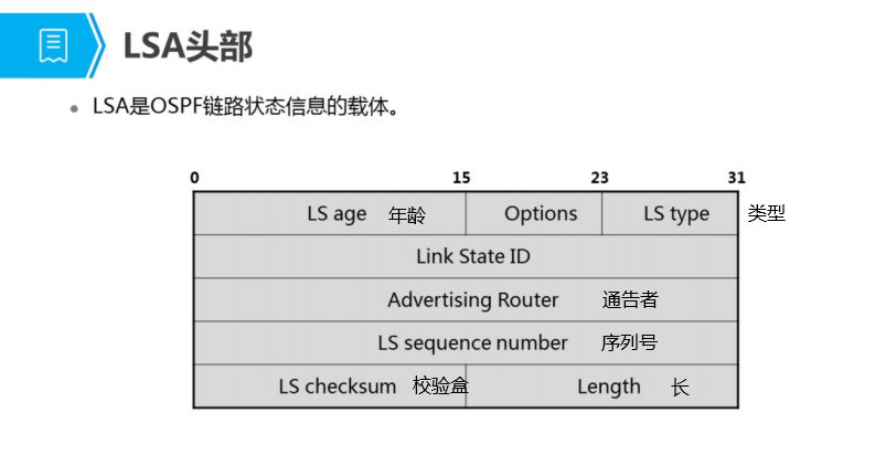 网络 ：OSPF的LSA_lsa三要素-CSDN博客