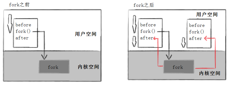Linux进程控制——进程创建(fork函数)、进程终止(exit和_exit函数)和进程等待(wait和waitpid方法)_五颗粒粒的博客-CSDN博客_fork函数