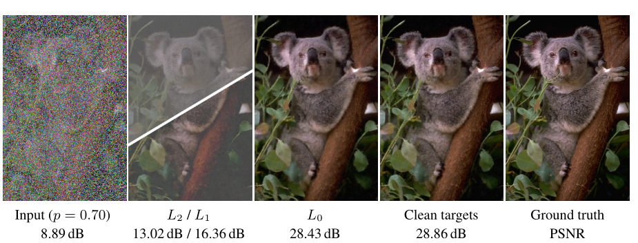 图像去噪之 Noise2Noise 和 Noise2Void-CSDN博客