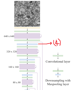 实验2：FusionNet的实现_kernelsize=3 stride=1 padding=1 输出多少-CSDN博客