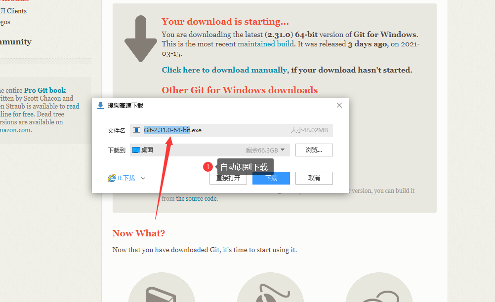 Windows版本的Git安装详细教程_git2.29.1安装教程-CSDN博客