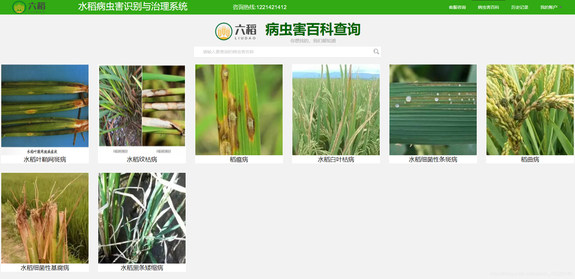 Pythonflasksqlitepytorch开发web水稻病虫害图像识别程序婆罗门逆变的博客 Csdn博客