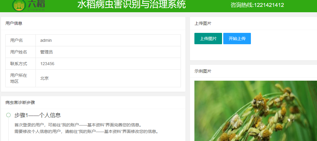 Pythonflasksqlitepytorch开发web水稻病虫害图像识别程序基于pytorch的稻瘟病检测算法代码婆罗门逆变的博客 Csdn博客