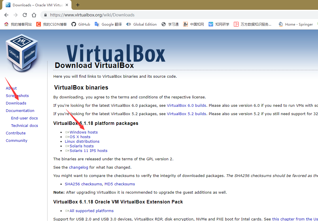 VirtualBox虚拟机以及CentOS系统的安装【详细】_ctenos与virtualbox-CSDN博客