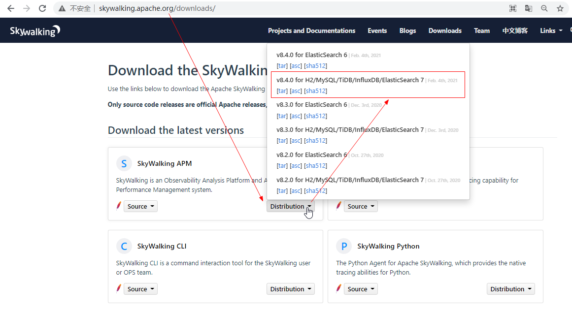 SkyWalking链路监控使用教程一：windows下环境搭建并启动springboot应用_windows 安装 skywalking-CSDN博客