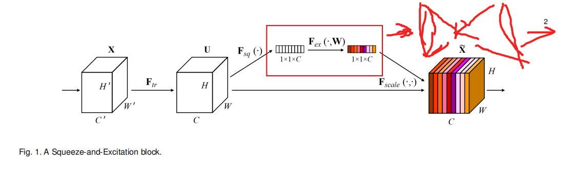 SKnet：Selective Kernel Networks学习笔记+Pytorch代码实现_sknet论文地址-CSDN博客