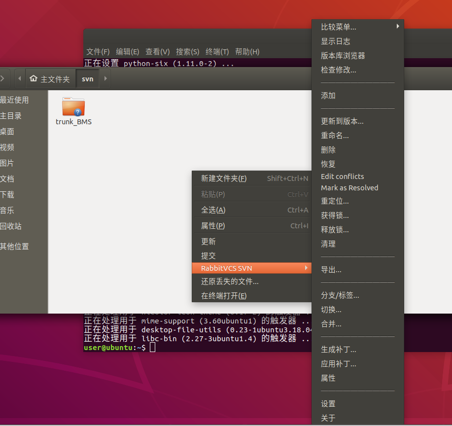 Ubuntu18.04 安装 rabbitvcs svn 图形化客户端_rabbitvsc 安装-CSDN博客