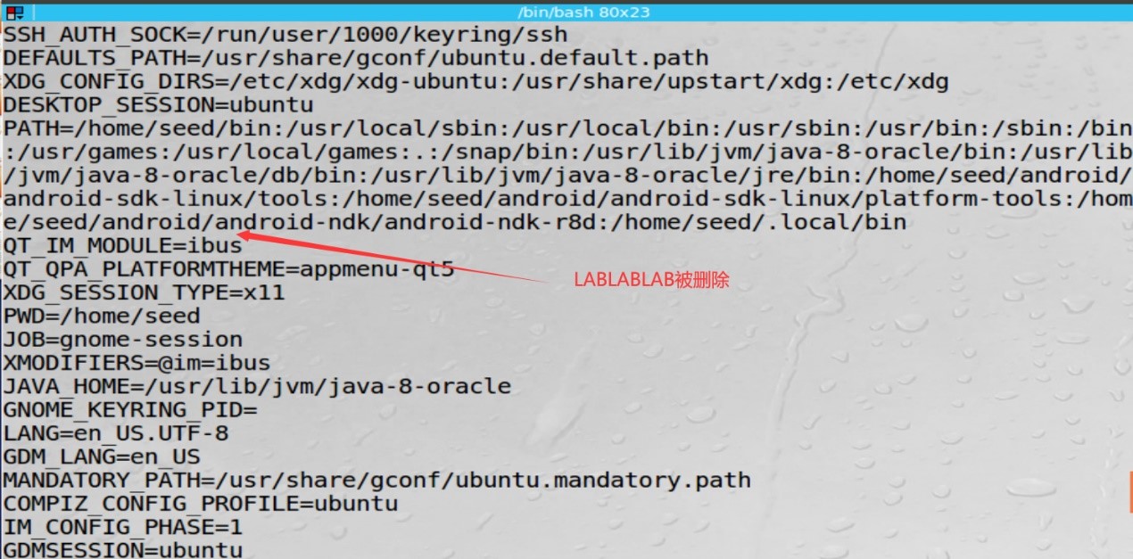 Environment Variable and Set-UID Program Lab操作系统实验_we are using bash in the seed account.-CSDN博客