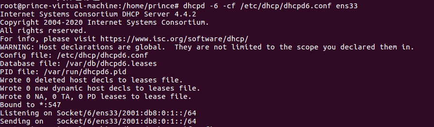 ubuntu配置dhcp server（4和6）_ubuntu配置dhcp服务器(4和6)-CSDN博客