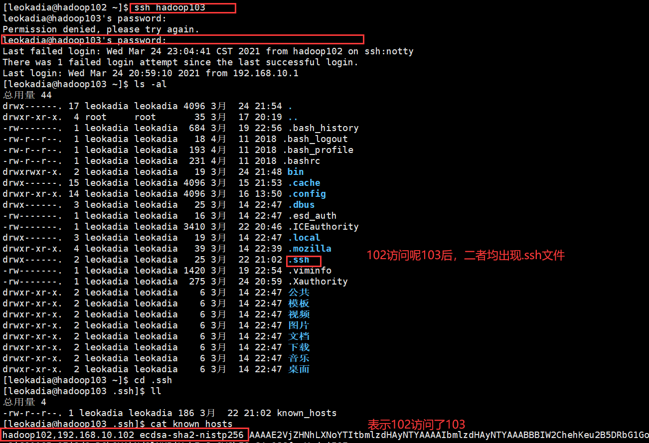 Hadoop入门(九)——SSH免密登录 配置（图文详解步骤2021）_虚拟机 身使 root 户ssh访问localhost免密登录（自行完成首次公钥匙认证-CSDN博客