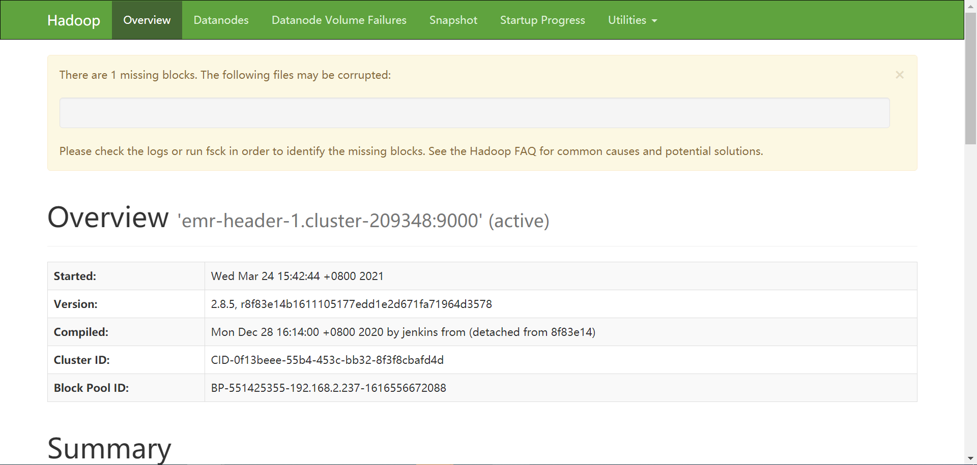 【hadoop】HDFS块修复_hdfs debug recoverlease-CSDN博客