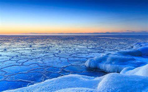 pytorch中二维平均池化模块torch.nn.AdaptiveAvgPool2d() 与 torch.nn.AvgPool2d() 的区别_pytorch densnet ...