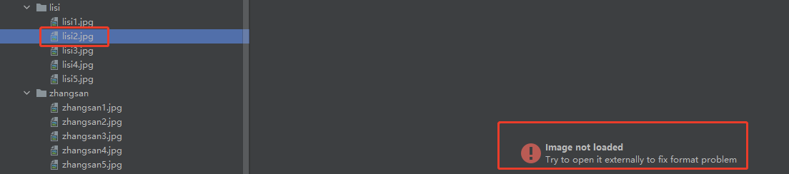 RuntimeError: Error during processing file (Expected image (JPEG, PNG, or GIF), got empty file ...