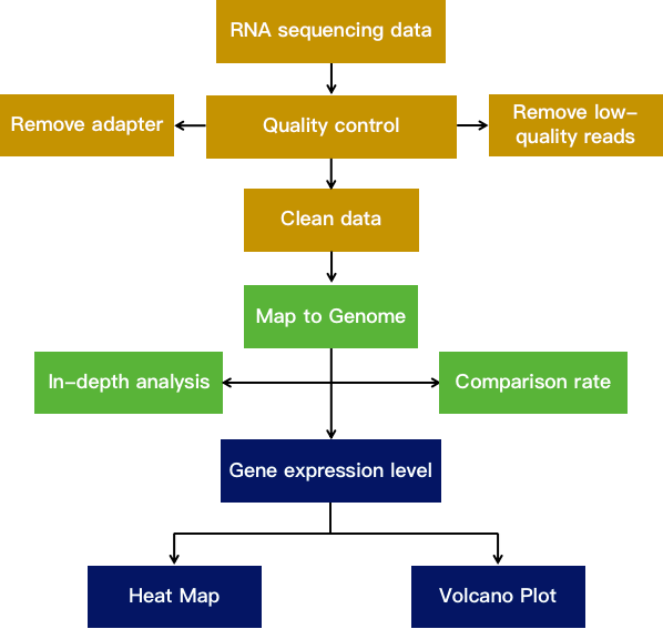 NGS测序数据和Microarray芯片数据在基因表达中的应用_ngs数据分析软件-CSDN博客