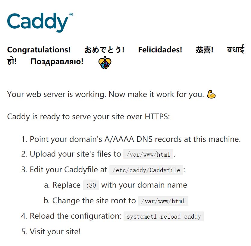 Debian搭建FTP服务器及Caddy网站并上传_caddy ftp-CSDN博客