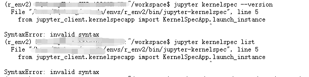 linux服务器搭建之（四）：在jupyter中添加多个python、R新内核_jupyter添加python内核-CSDN博客