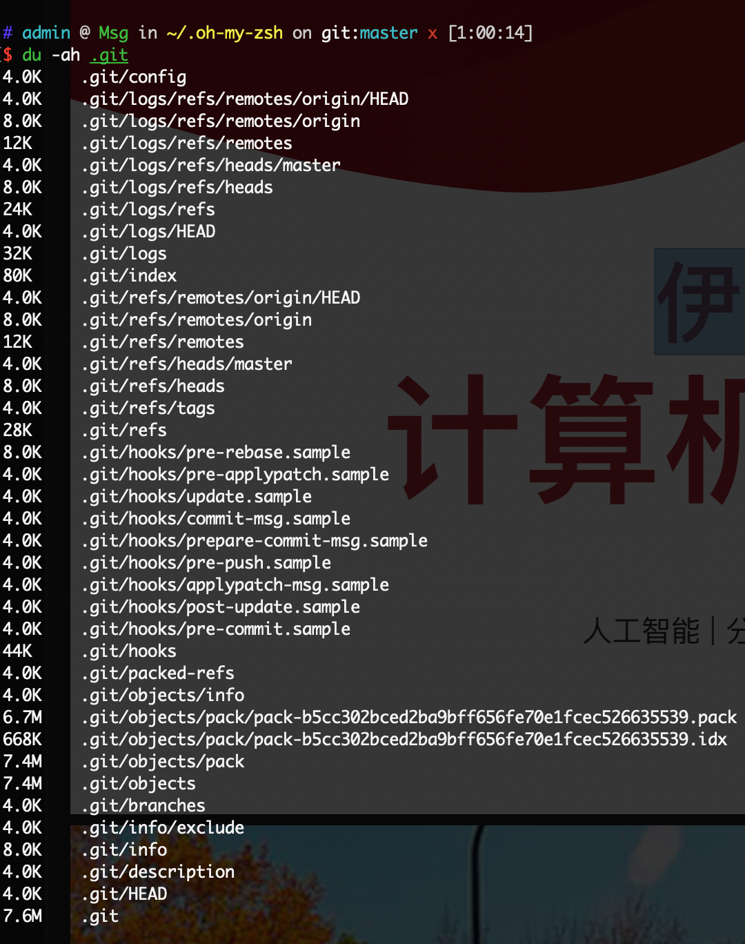 Linux查找大文件、大目录 - 解决磁盘空间不足的问题_df -h --max-depth-CSDN博客