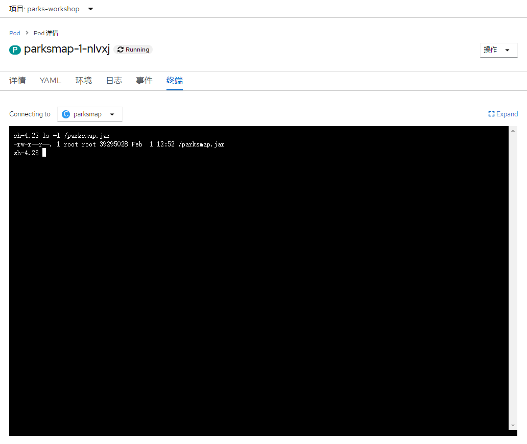OpenShift 4 - 全图形化 Step-by-Step 部署容器应用（附视频）_openshift4部署-CSDN博客