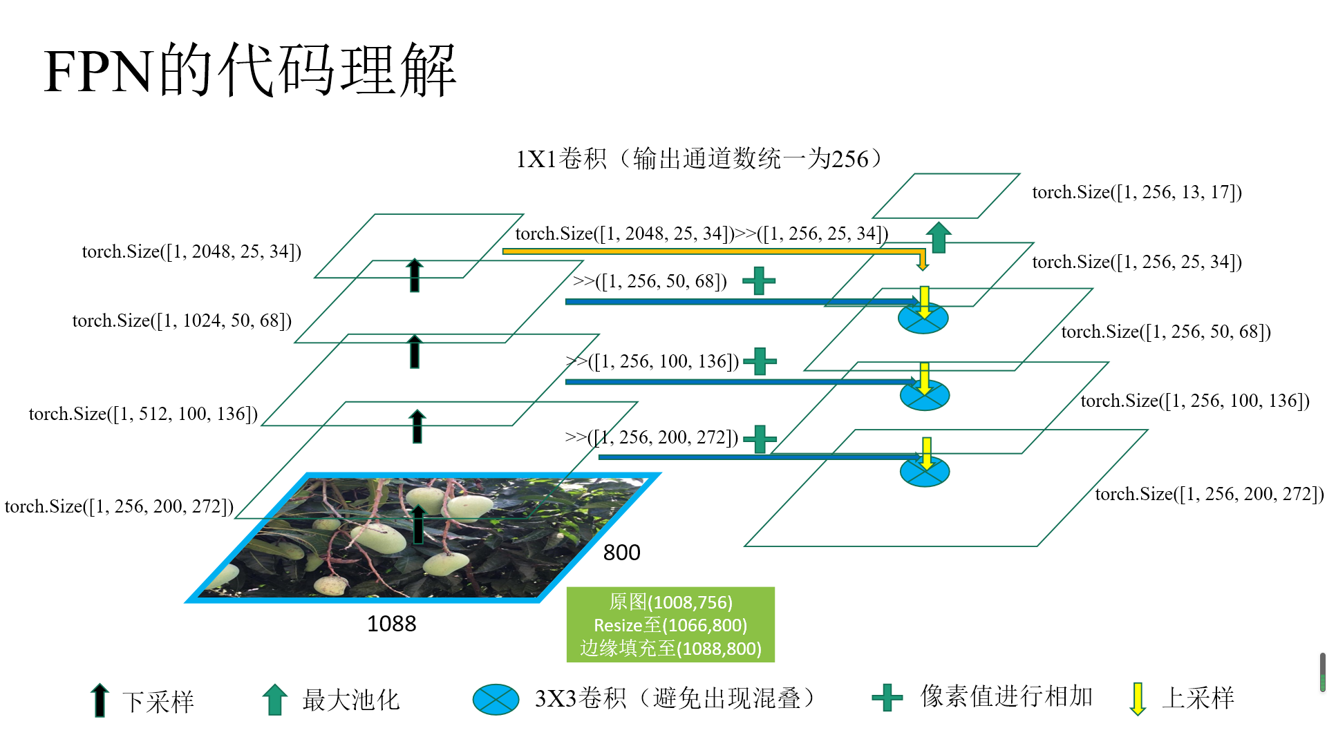 FPN的代码理解（可视化）_fpn inner-CSDN博客