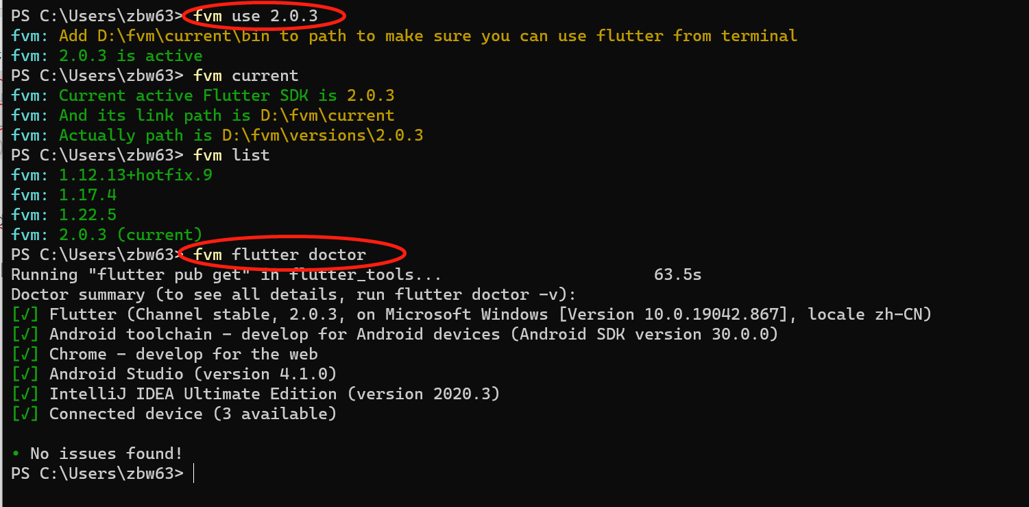 Win10使用fvm实现多个flutter版本的快捷切换win10 Fvm Csdn博客 