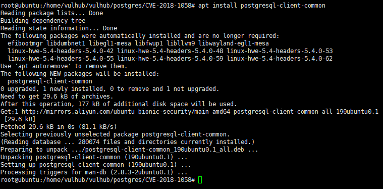 P6 利用Vulhub复现漏洞 -PostgreSQL 提权漏洞（CVE-2018-1058）_cve-2018-10589-CSDN博客