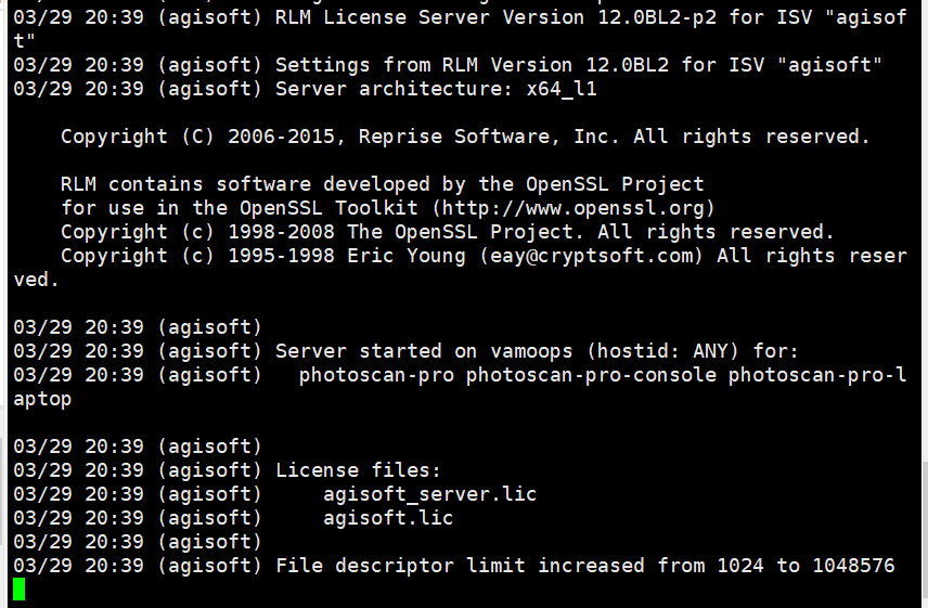 Agisoft Metashape Linux 安装到服务器及使用python脚本无GUI构建点云-CSDN博客