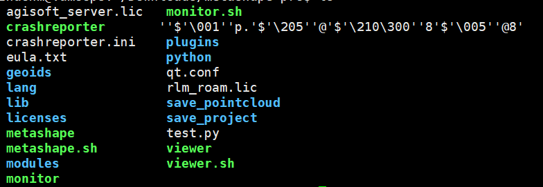 Agisoft Metashape Linux 安装到服务器及使用python脚本无GUI构建点云-CSDN博客