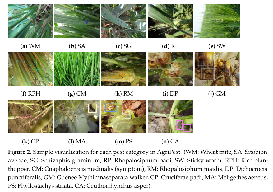 AgriPest:A Large-Scale Domain-Specific Benchmark Dataset for Practical ...