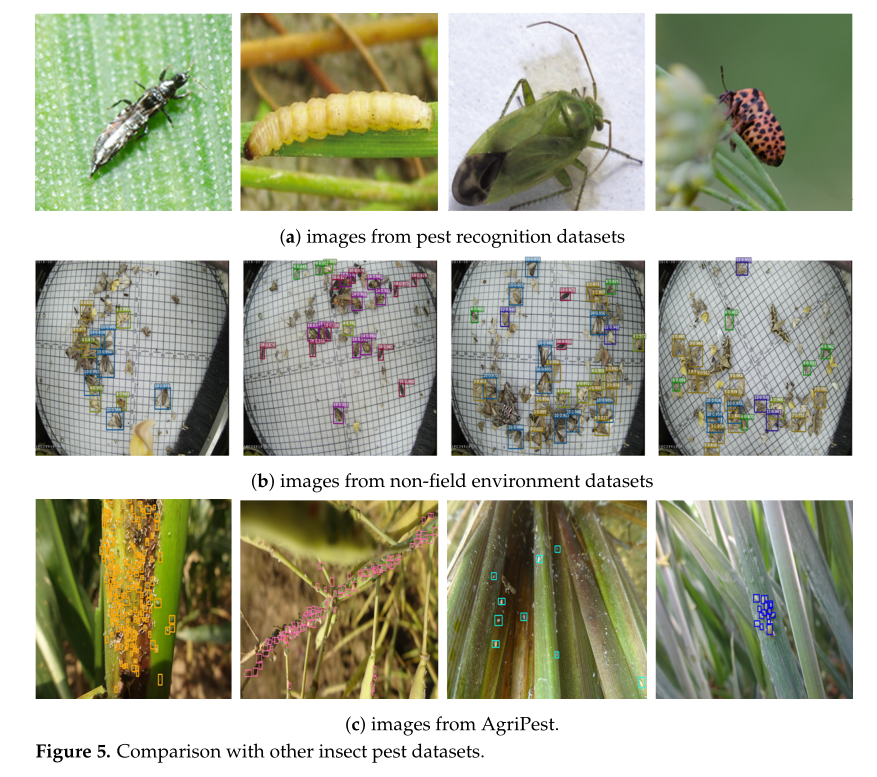 AgriPest:A Large-Scale Domain-Specific Benchmark Dataset for Practical ...