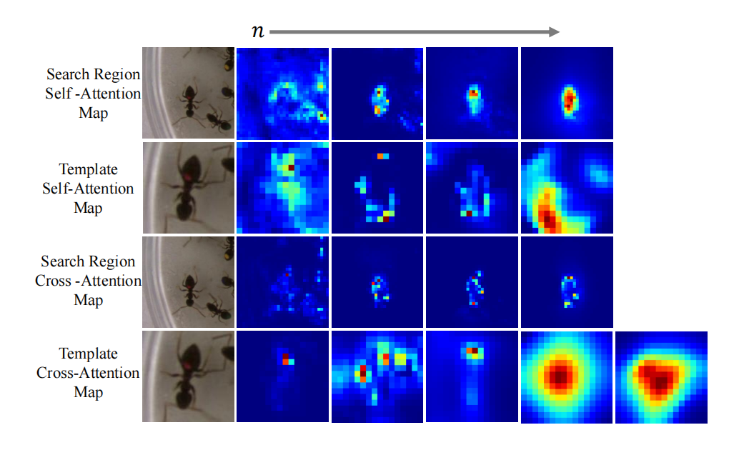 Transformer Tracking_cross-attention map-CSDN博客