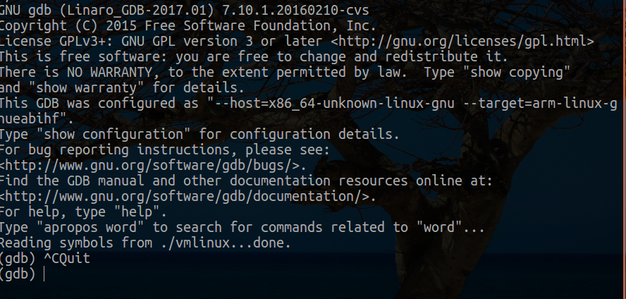 使用KGDB调试Linux驱动（以imx6ull开发板为例）-CSDN博客
