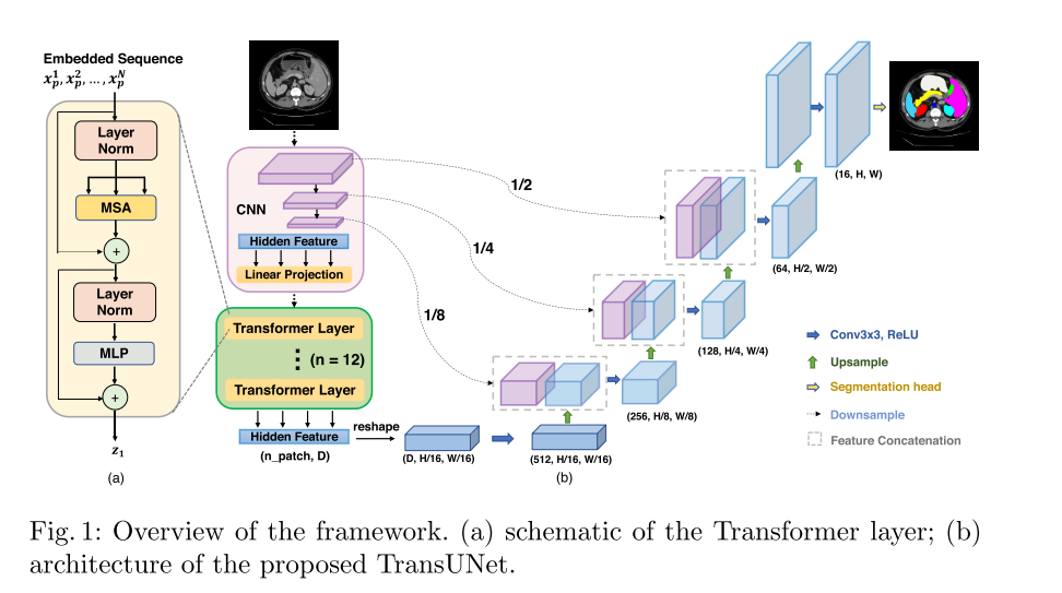 几种Transformer+CNN（U-net）网络_mhsa和mhca-CSDN博客