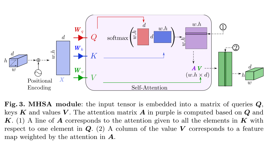 几种Transformer+CNN（U-net）网络_mhsa和mhca-CSDN博客