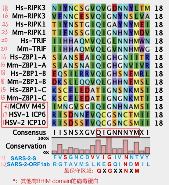 RHIM domain 的预测—一个超级简单的python在分子生物学中的应用实例-CSDN博客