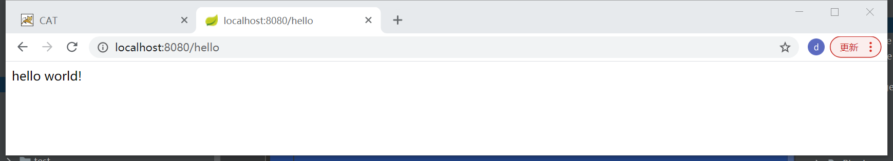 Cat3.0.0监控本地部署+springboot接入cat例子_springboot3应用接入cat 详细教程-CSDN博客